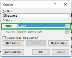 Appendices, Tables and Figures | Formatting Guide for Academic Texts